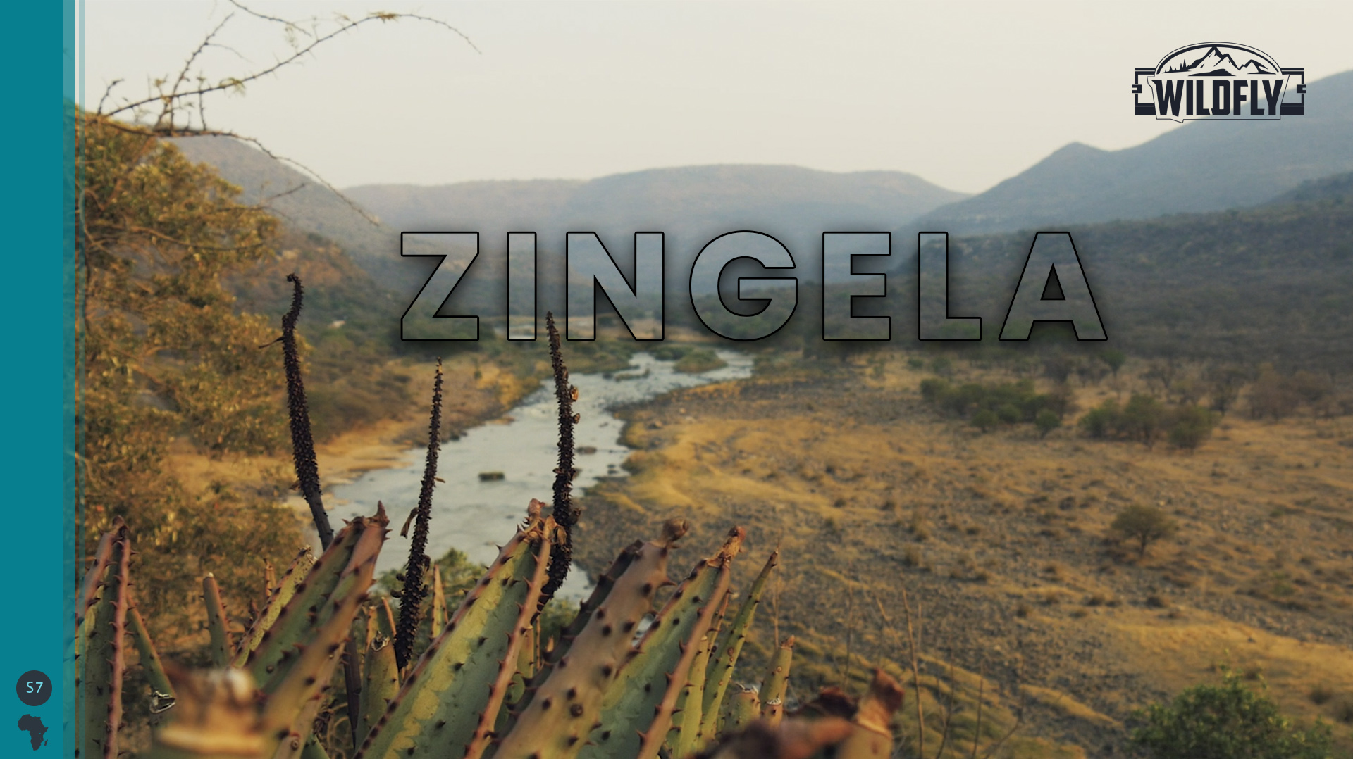 Zingela - Fishtube TV